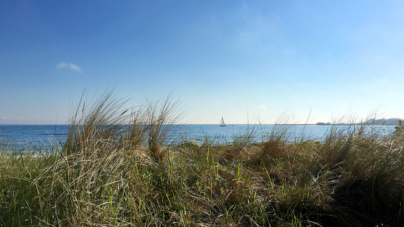 Sehenswürdigkeiten an der Ostsee entdecken | Maritim Hotels